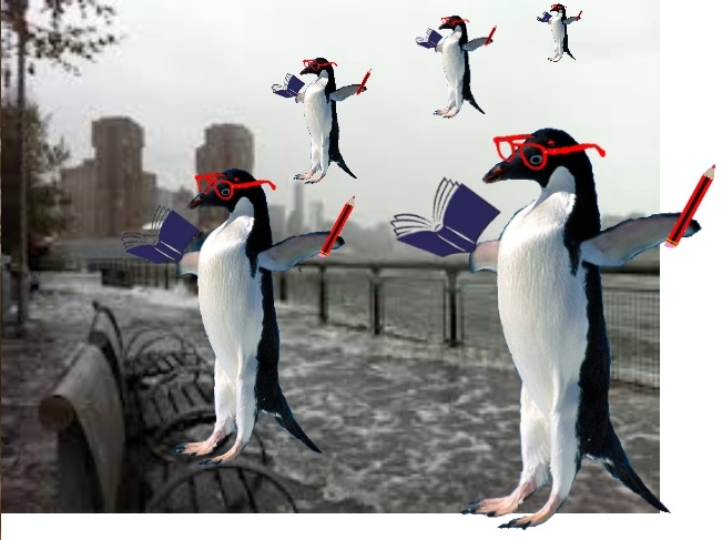 Random Penguins Seen in New York